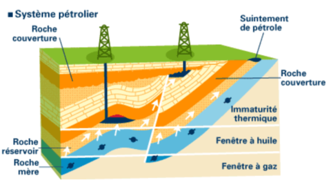 La formation des hydrocarbures. Concession pétrolière - Bridge Energies